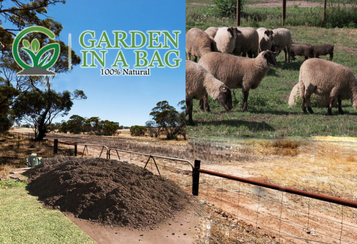 Sheep Manure in High wycombe – Garden in a Bag