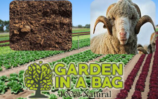 Sheep Manure Success WA – Garden in a Bag