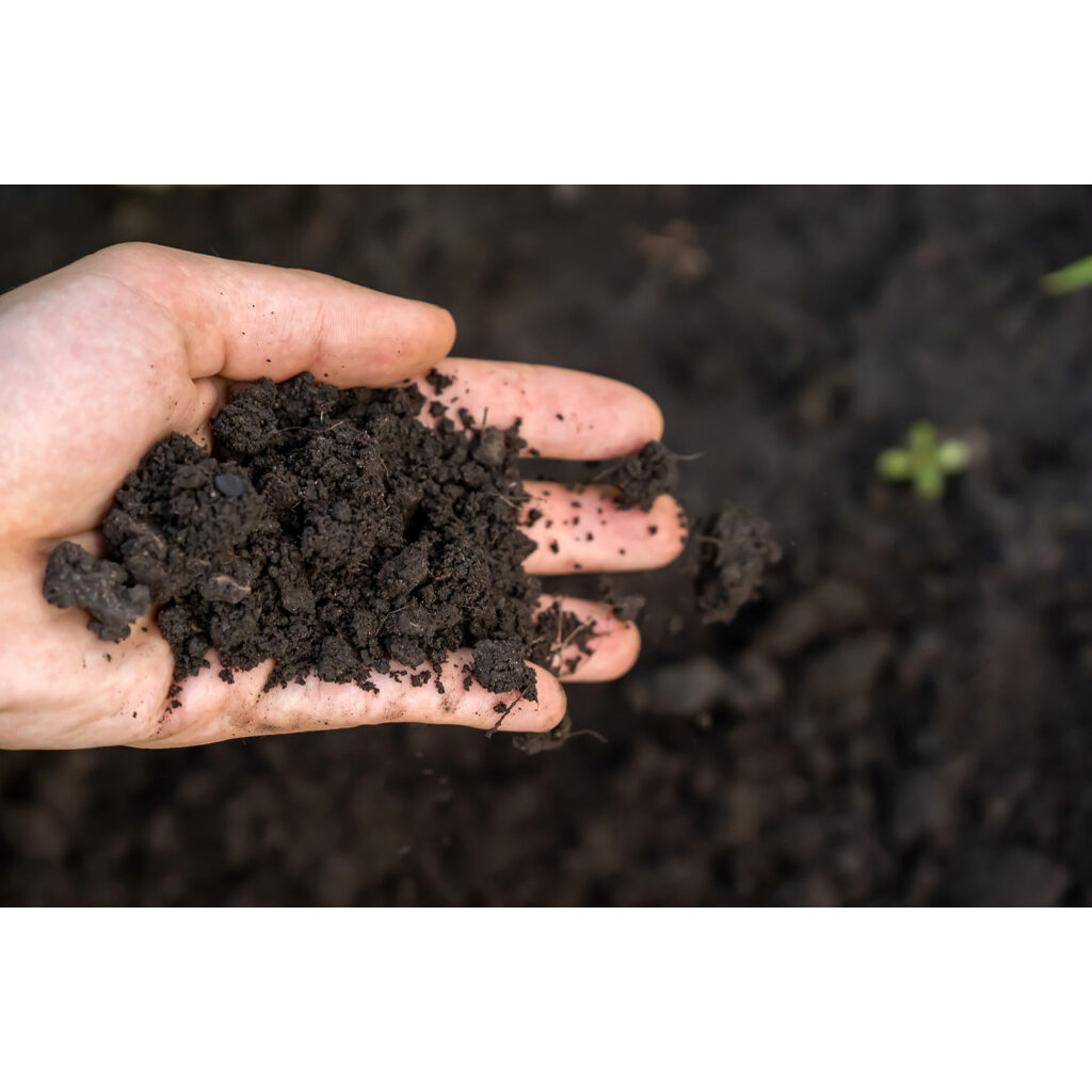 Mixed Manures – 60L Bag – Garden in a Bag